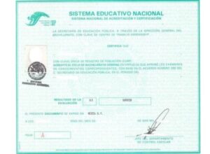 ¿Cómo obtener el certificado de preparatoria de forma rápida y eficiente?